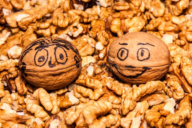 Two happy walnuts stock image. Image of seeds, vegetarian - 112131047