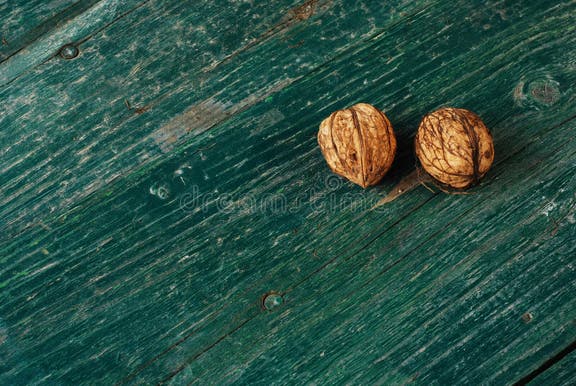 Two walnuts stock photo. Image of seed, tasty, walnuts - 11454752