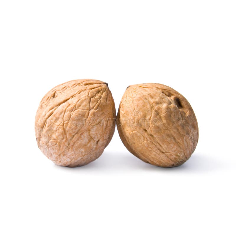 1,372 Two Walnuts White Background Stock Photos - Free & Royalty-Free ...