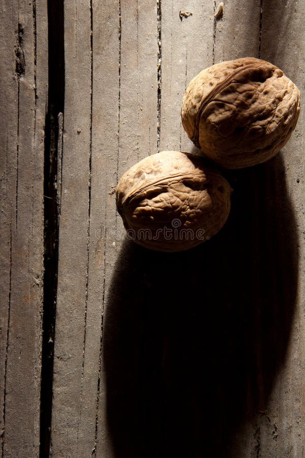 Two Walnuts. stock photo. Image of market, delicious - 26861306