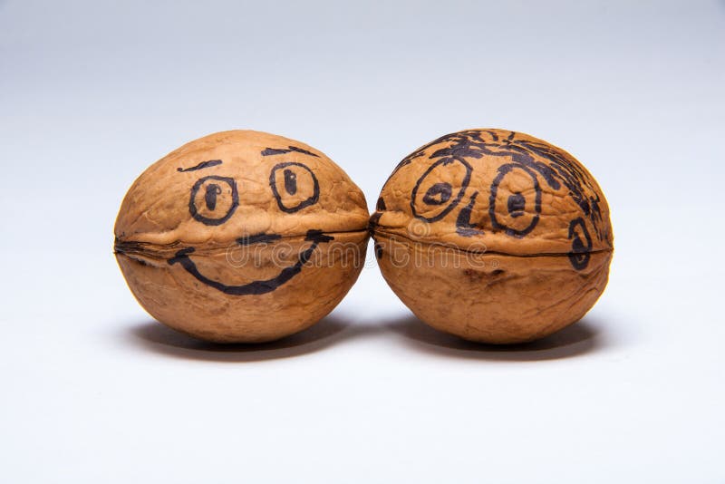 Two Happy Walnuts stock image. Image of tree, design - 112131085