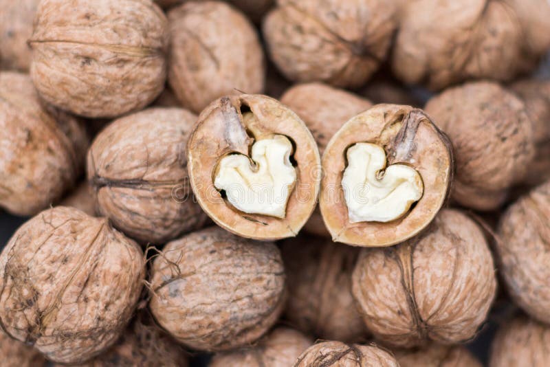 Two walnuts hearts stock image. Image of nutrition, ingredient - 36244245
