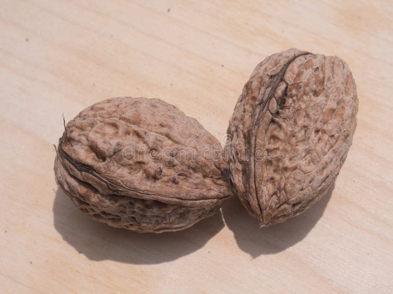 Two walnuts stock photo. Image of close, crust, food - 75384082