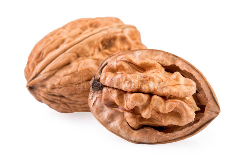 Two Whole Unshelled Walnuts Isolated on White Clipping Path Stock Photo ... Two Whole Unshelled Walnuts Isolated on White Clipping Path Stock Photo ...