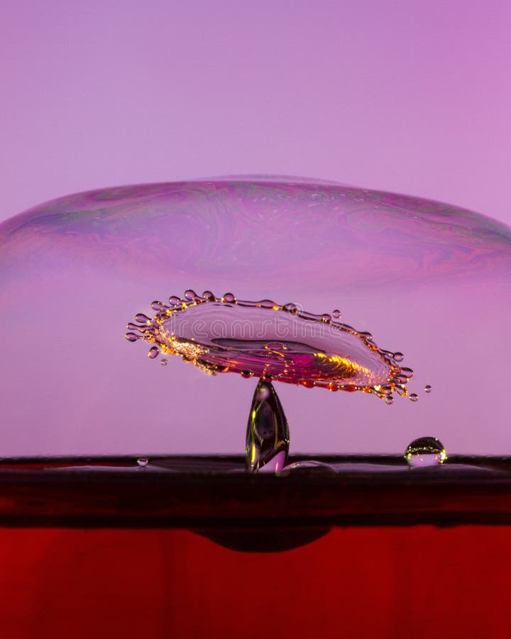 Liquid Drop Art Showing Colored Water Dropped into a Sea Shell Stock ...