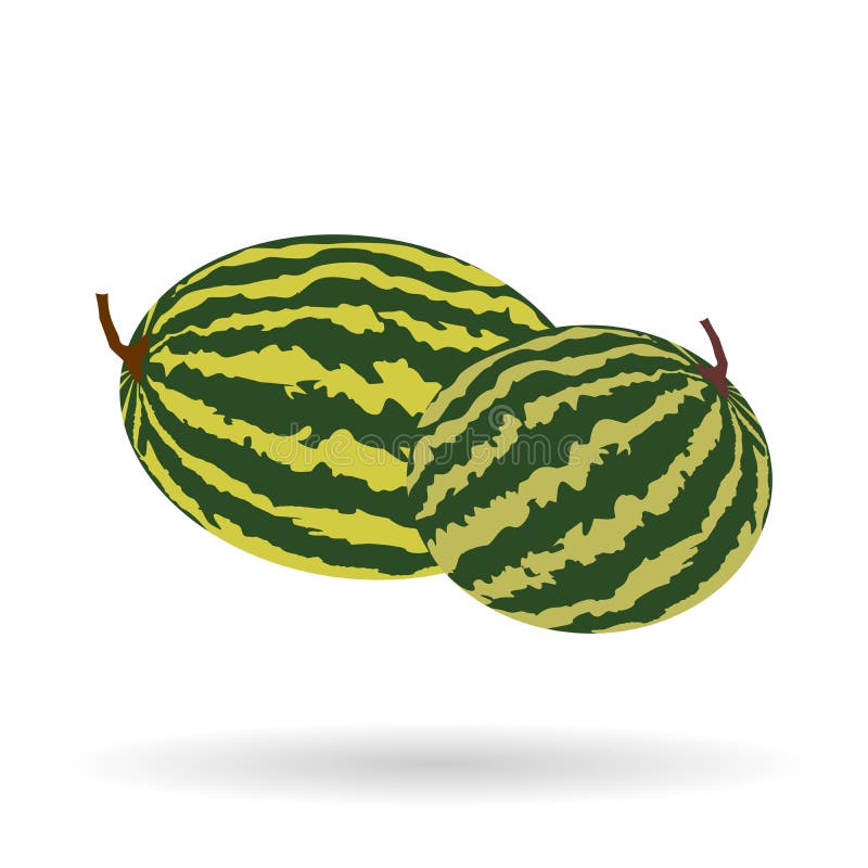 Two Watermelon with Shadow on White Background. Stock Vector ...