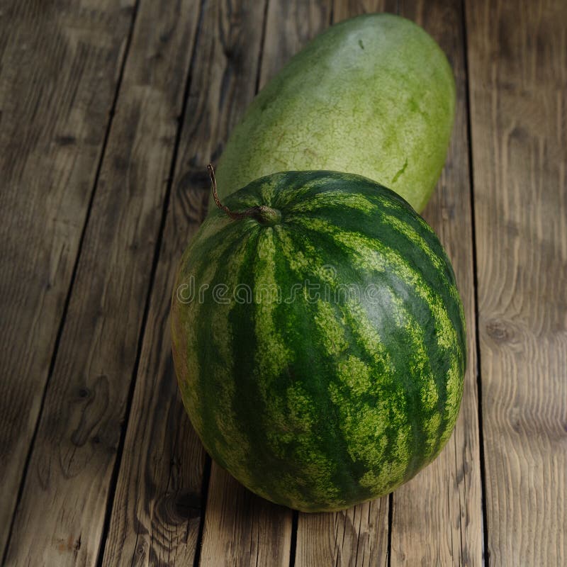 Two Watermelons of Different Varieties Stock Image - Image of shape ...
