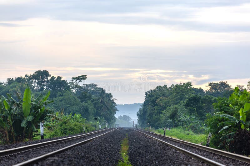 Two-Way Railway Lines through Rice Fields in Early Morning. Serene ...