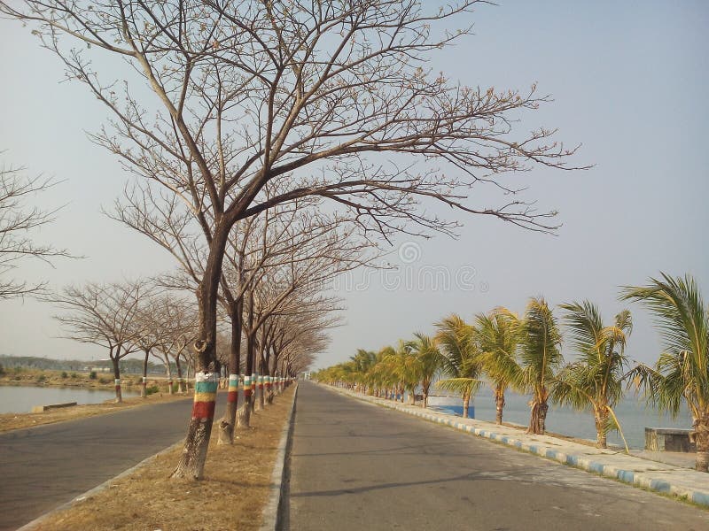 Two-way road on the bypass stock photo. Image of evasive - 265567142