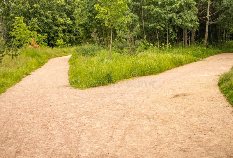 Two Ways, Choose the Road, Close-up of the Forest Fork Stock Photo ... Two Ways, Choose the Road, Close-up of the Forest Fork Stock Photo ...