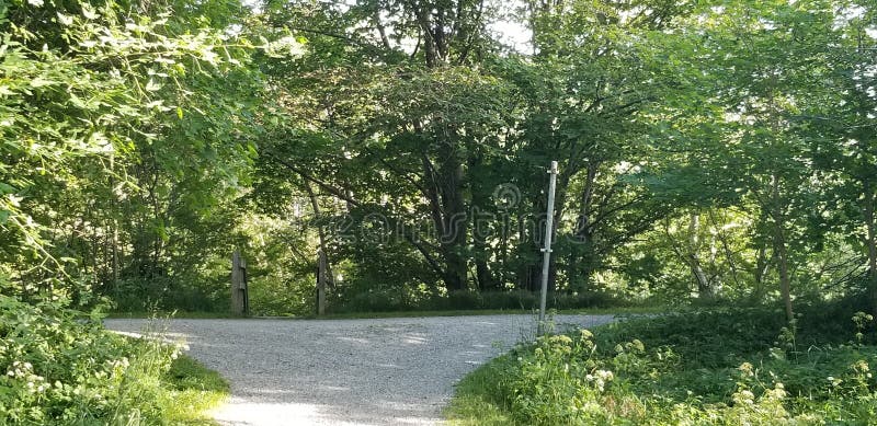 Two ways on the path stock photo. Image of sunrays, green - 155508760