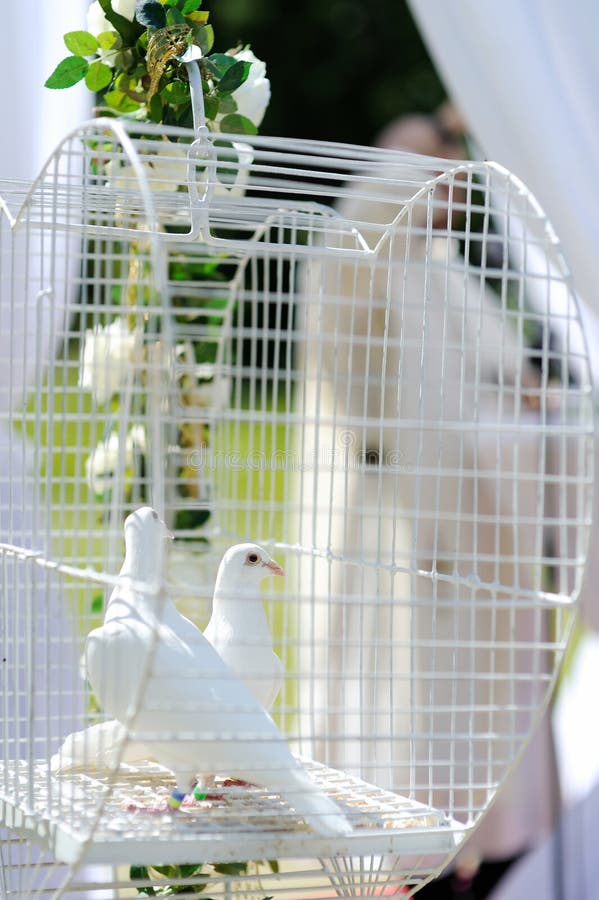 Two wedding doves stock photo. Image of marry, decoration - 15464854