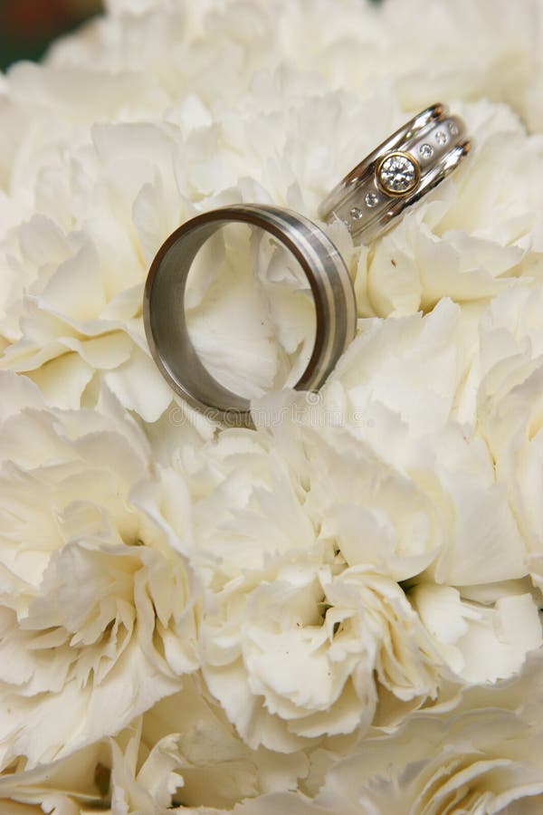 Two wedding rings stock image. Image of flower, couple - 346159