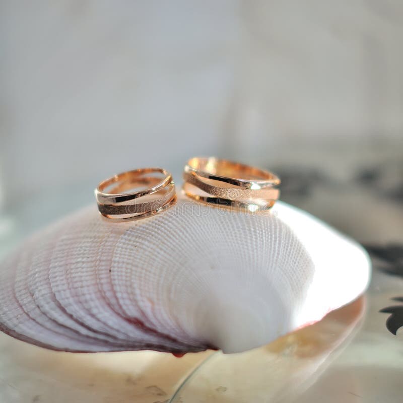 Two wedding rings stock image. Image of fashion, empty - 102579457