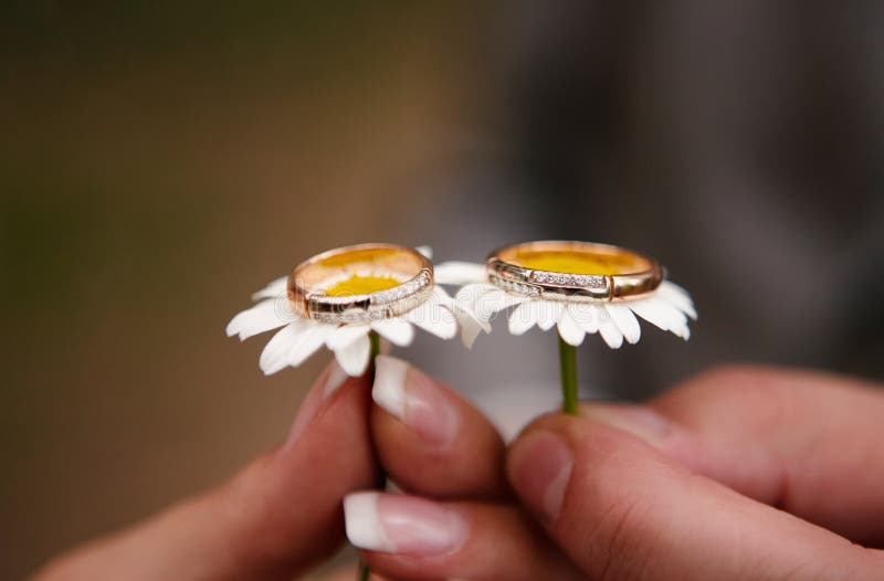 Two Wedding Rings Placed on the Petals of Daisies Stock Image - Image ...