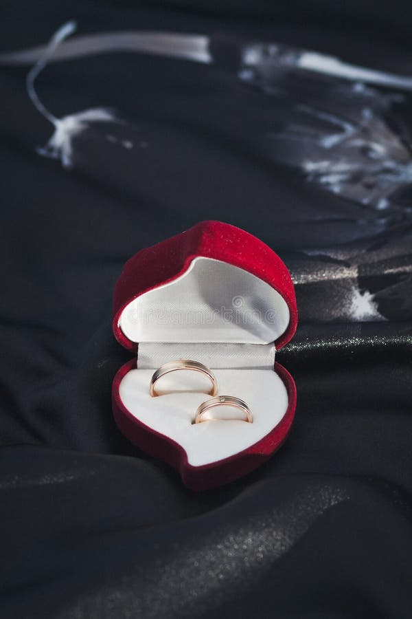 Two Wedding Rings in a Red Box Stock Image - Image of ring ...