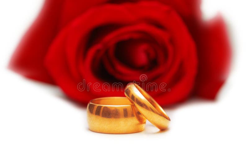 Two Wedding Rings and Red Rose Stock Photo - Image of couple, blossom ...
