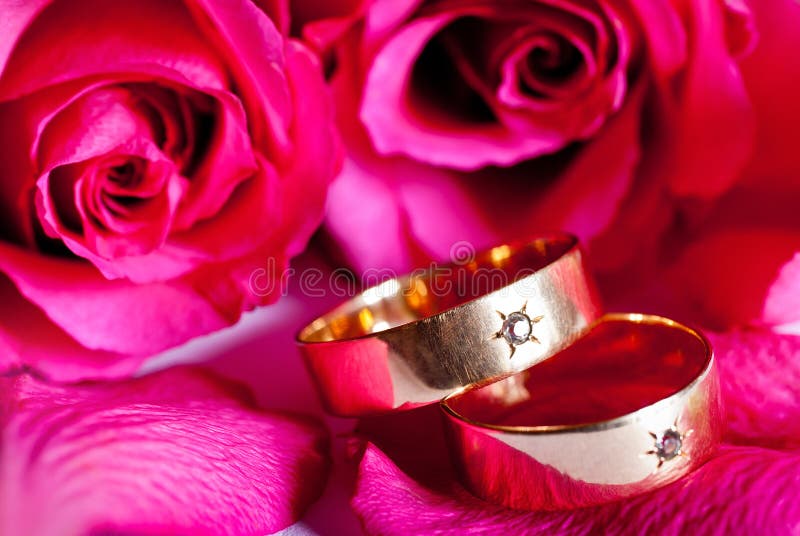 Two Wedding Rings with Red Rose Stock Image - Image of rings, wedding ...