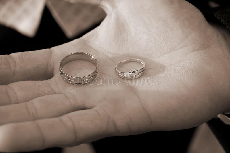 Wedding Rings Displayed in Hand during Intimate Ceremony at a Beautiful ...