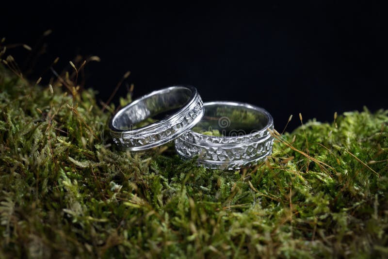 Two wedding rings stock image. Image of lifelong, commitment - 55228831