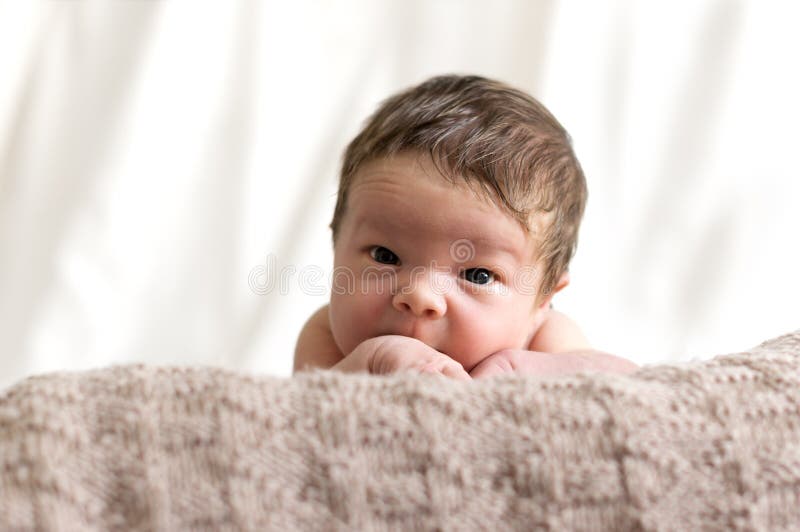 Two Weeks Old Baby on the Brown Blanket Stock Photo - Image of baby ...