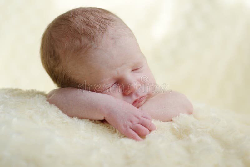 Two weeks old newborn stock image. Image of adorable - 30183977