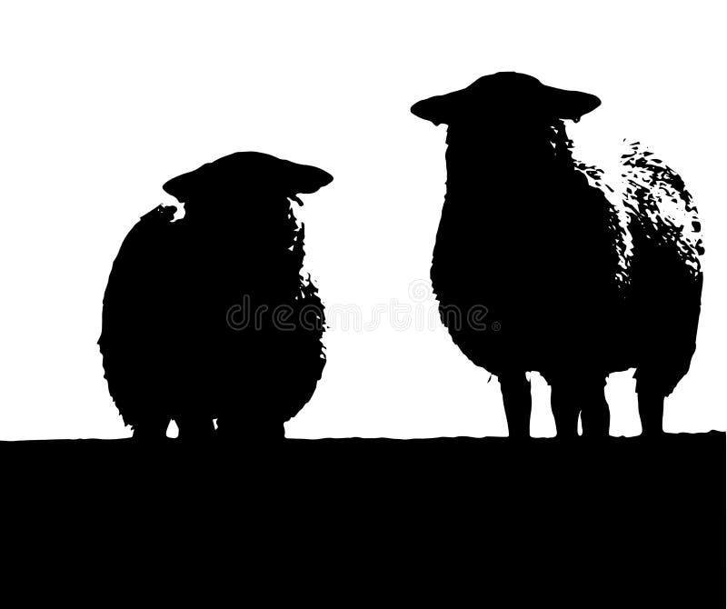 Welsh Sheep Stock Illustrations – 152 Welsh Sheep Stock Illustrations ...