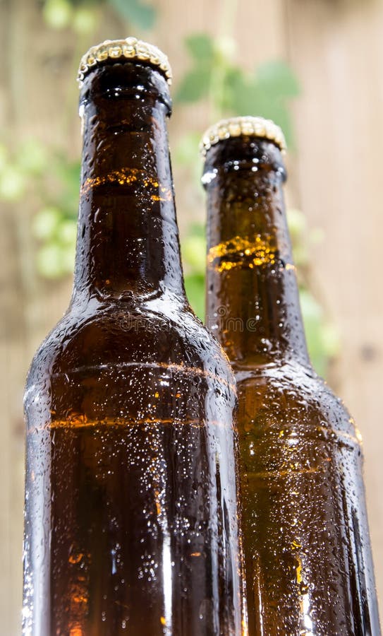 Two Wet Bottles of Beer on Wood Stock Image - Image of brew ...