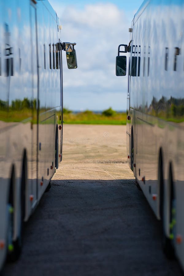 Two White Buses Parked by a Beach.. Stock Photo - Image of vehicle ...