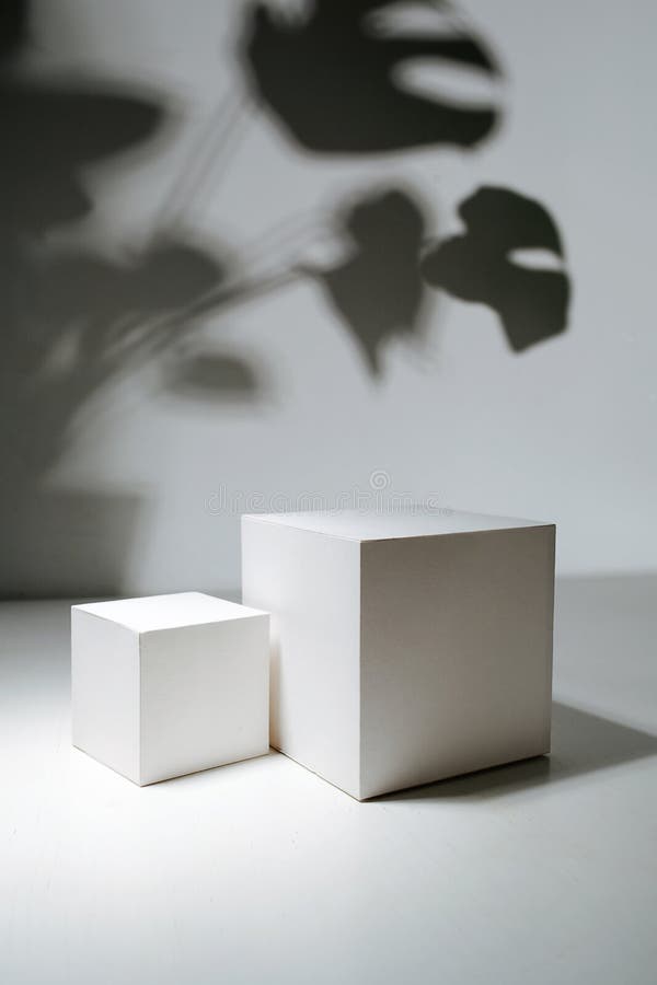 Two White Cubes in Front of a White Wall with a Shadow of Big Leaves on ...