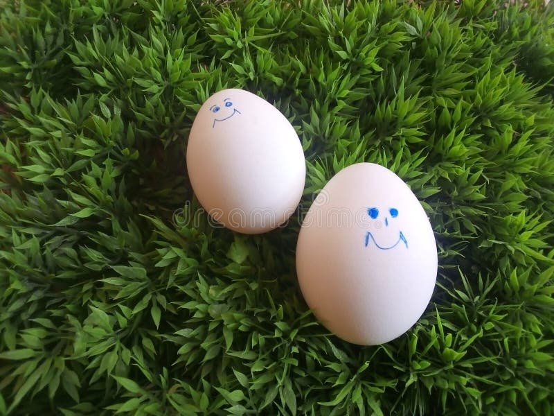 Two White Eggs Lying in Grass Feild Raw Stock Image - Image of feild ...