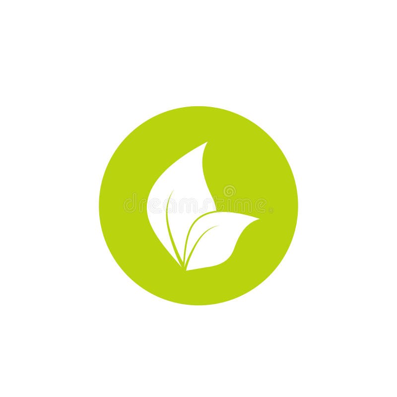 Two White Leaves in Green Circle. Eco Icon. Isolated on White Stock ...