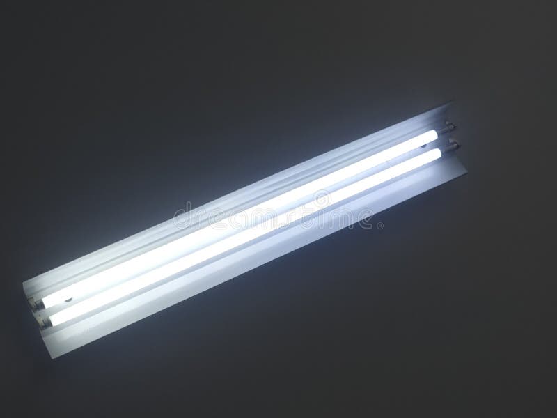 Neon bulbs stock photo. Image of bulbs, turned, white - 264480024