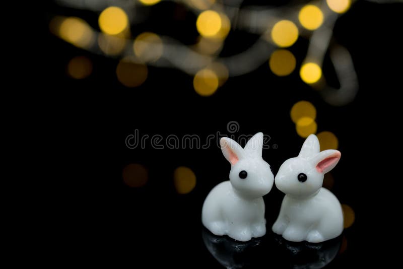 Two white rabbits stock photo. Image of rabbits, bonding - 96695594