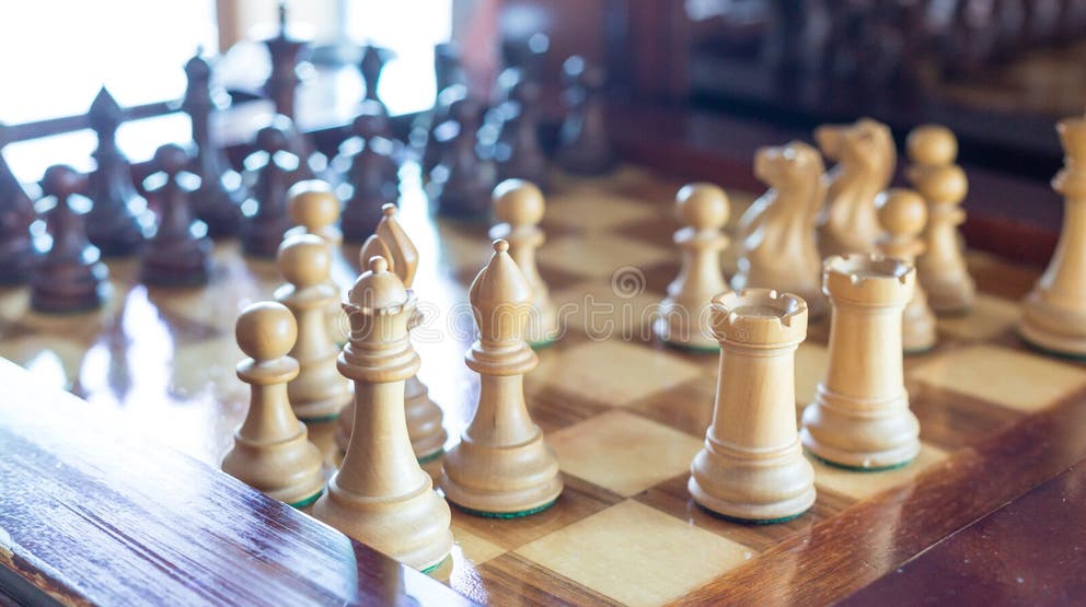 Two White Rooks stock image. Image of board, rook, black - 75572913