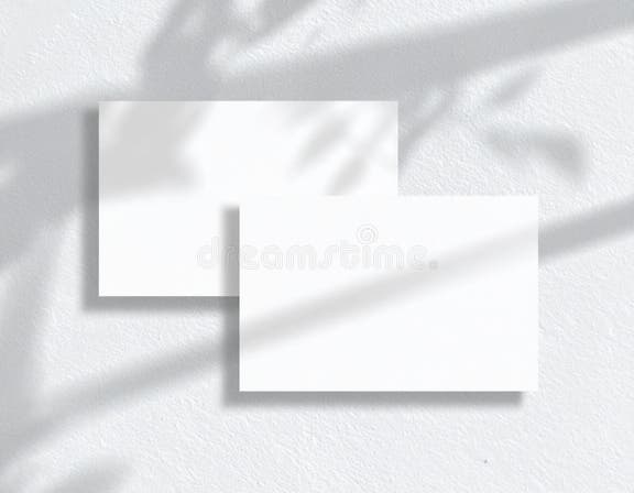Two White Square Cards Mockup with Leaf Shadow Overlay on Textured ...