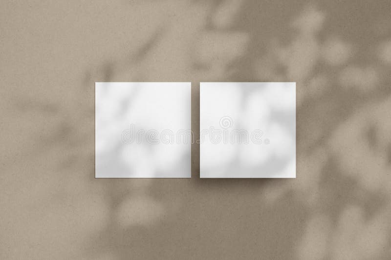 Two Blank White Square Cards Mockup Beige Background Stock Photos ...