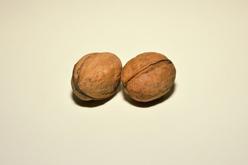 Two Whole Walnuts on a White Background Stock Image - Image of closed ...