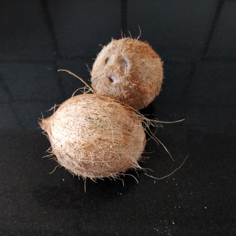 Two Whole Coconuts with Hard Shells and Some of Fibrous Husk. Stock ...