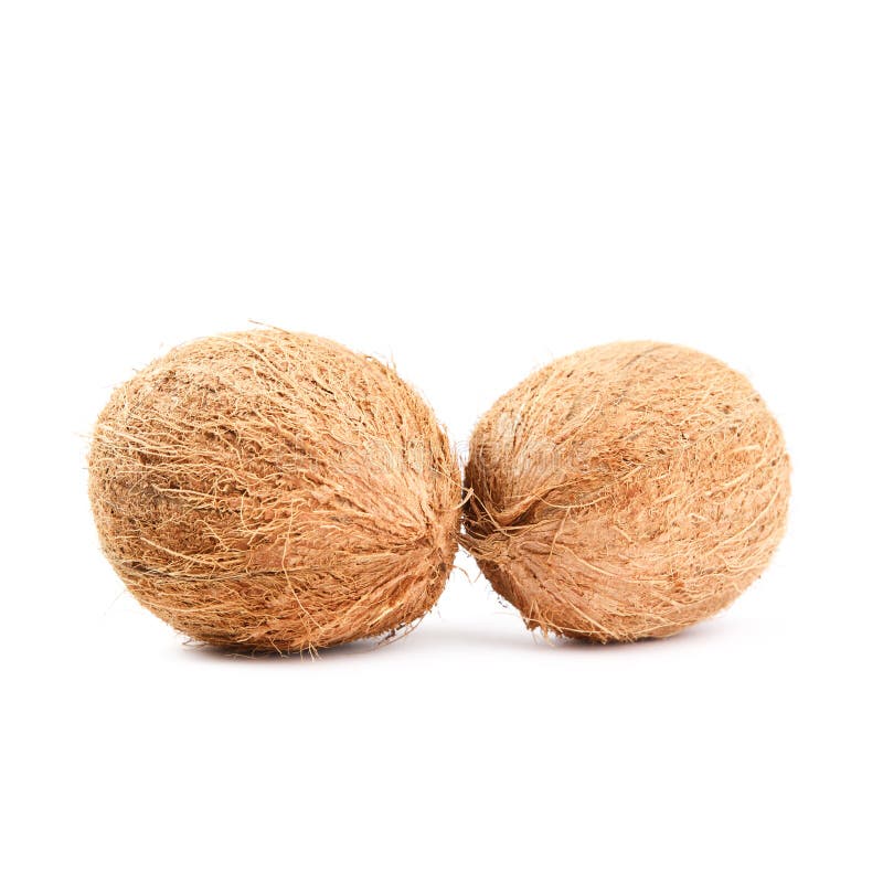 Two Coconuts On A White Backfround. Picture Image: 8003880