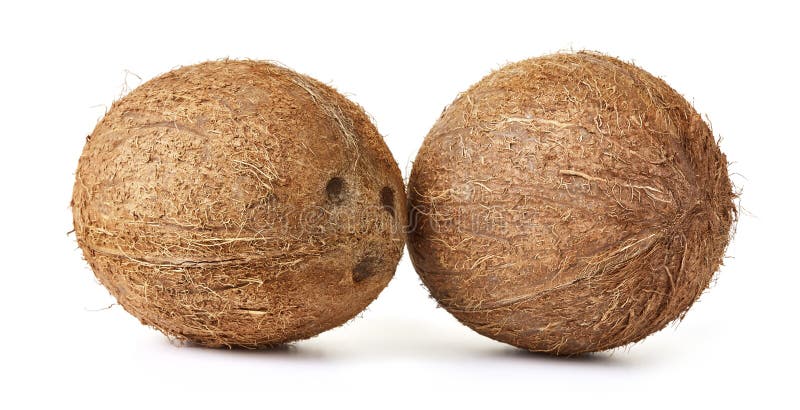 Two whole coconuts stock photo. Image of exotic, dessert - 21597310