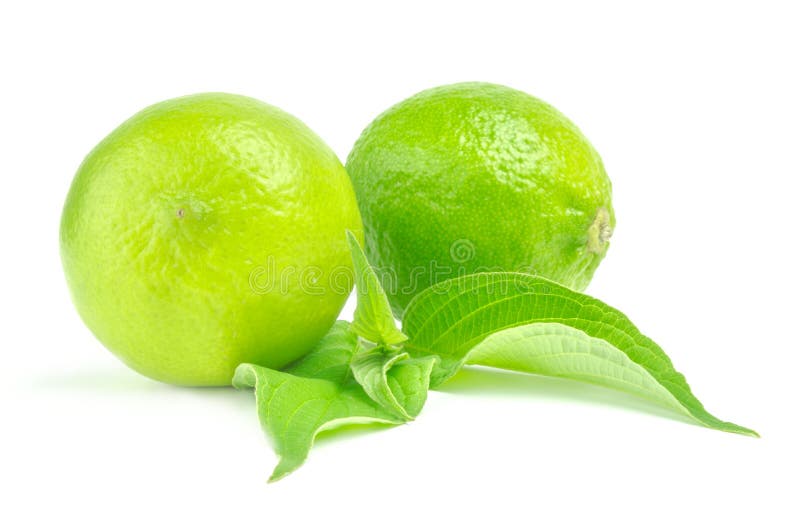Two Whole Lime with Leaves Isolated on White Stock Image - Image of ...