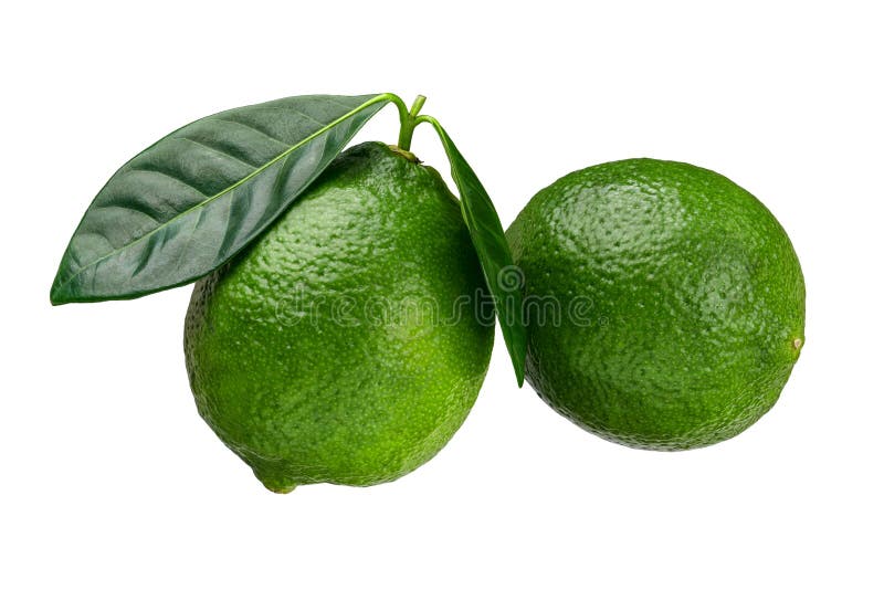 Two whole limes stock image. Image of natural, juicy - 40541791