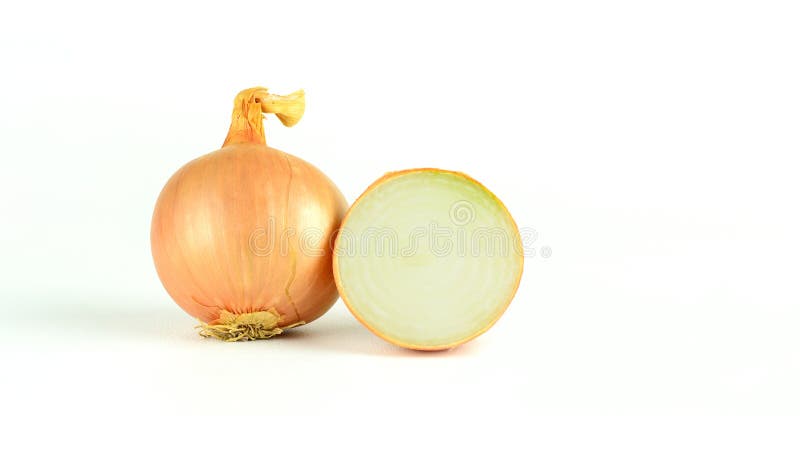 Two whole onions stock image. Image of layers, skin, edible - 42010225