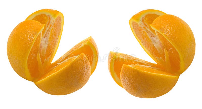 Oranges cut on segments stock photo. Image of diet, breakfast - 18272602