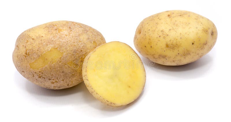 Potato on white stock photo. Image of earth, piece, cultivated - 103782770