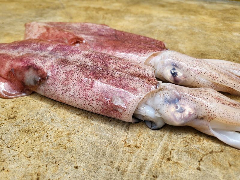 Two Whole Raw Squid on the Stone Table Stock Image - Image of fishing ...
