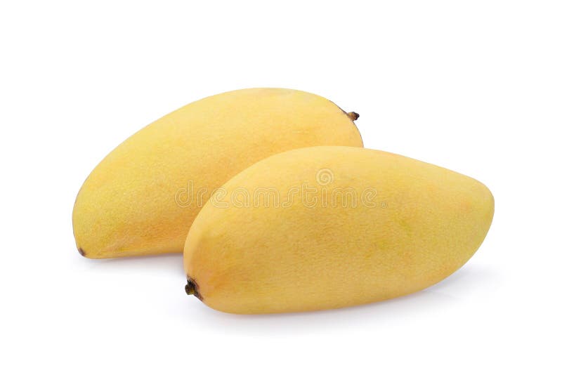 Ripe Yellow Mango Fruit with Leaves Isolated on White Stock Image ...