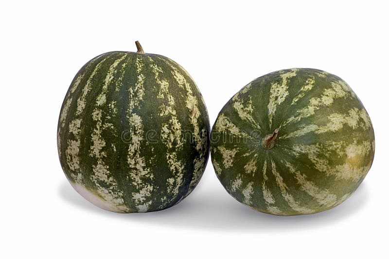 150 Two Watermelons White Stock Photos - Free & Royalty-Free Stock ...