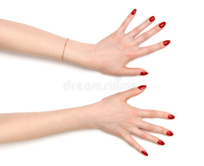 Two wide open woman hands stock photo. Image of hands - 2316158